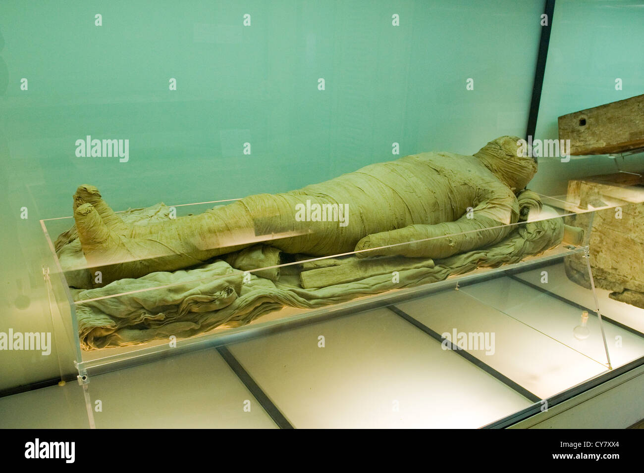 Italy, Piedmont, Turin, Egyptian Museum, mummy Stock Photo - Alamy