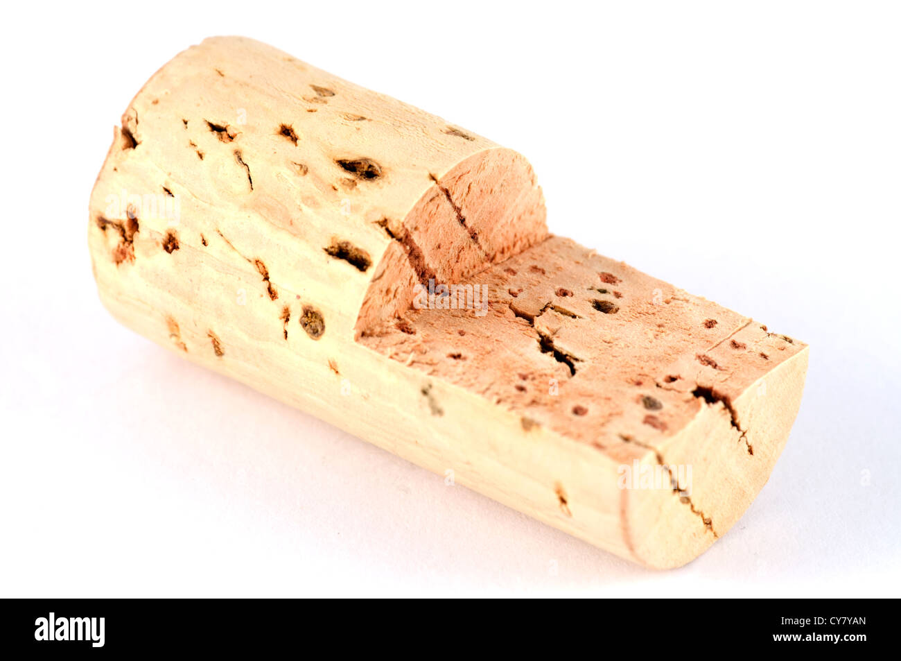 Cross section of a cork isolated on white Stock Photo - Alamy