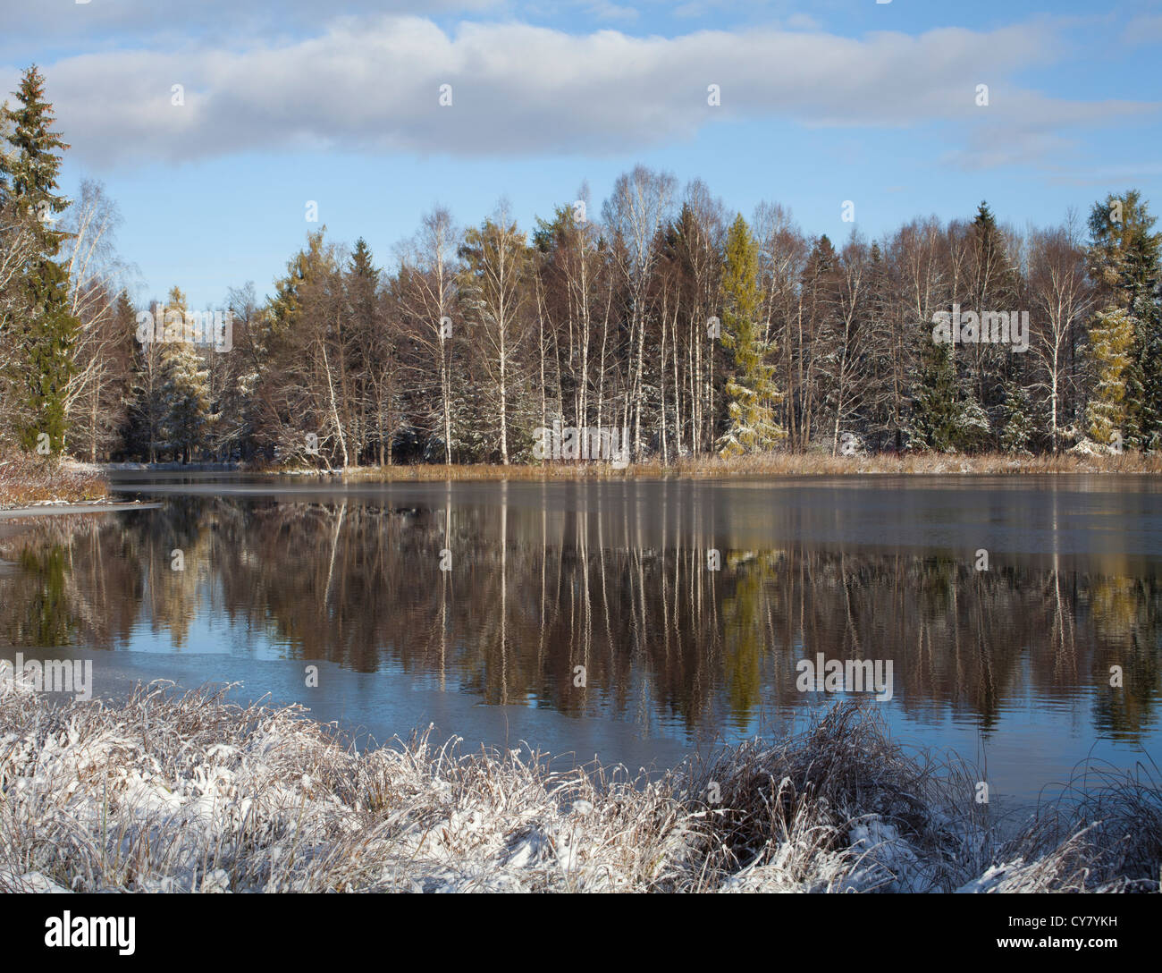 First snow. Palace Park, Gatchina, Leningrad Oblast, Russia Stock Photo ...
