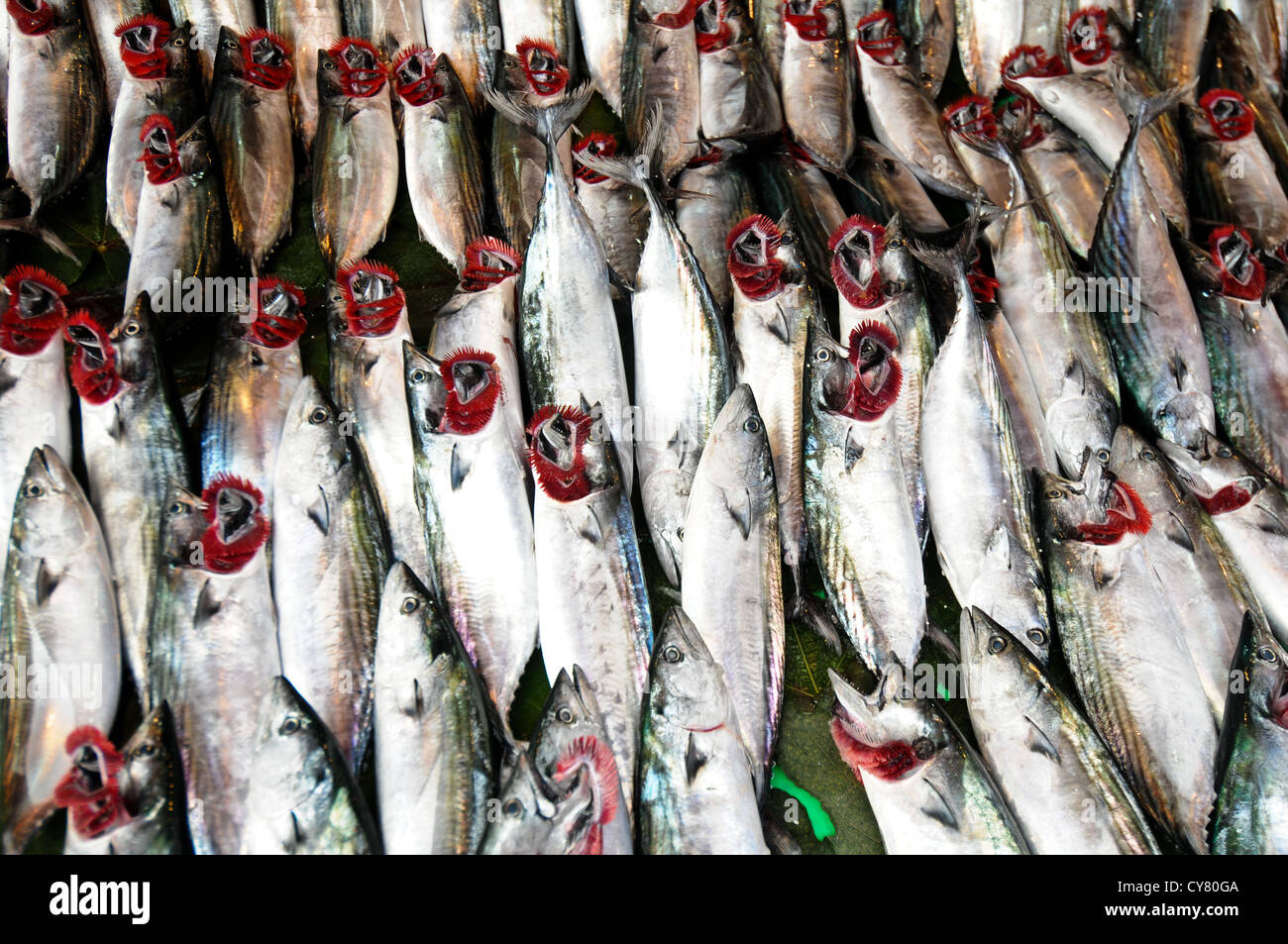 Galata bridge fish market hi-res stock photography and images - Alamy