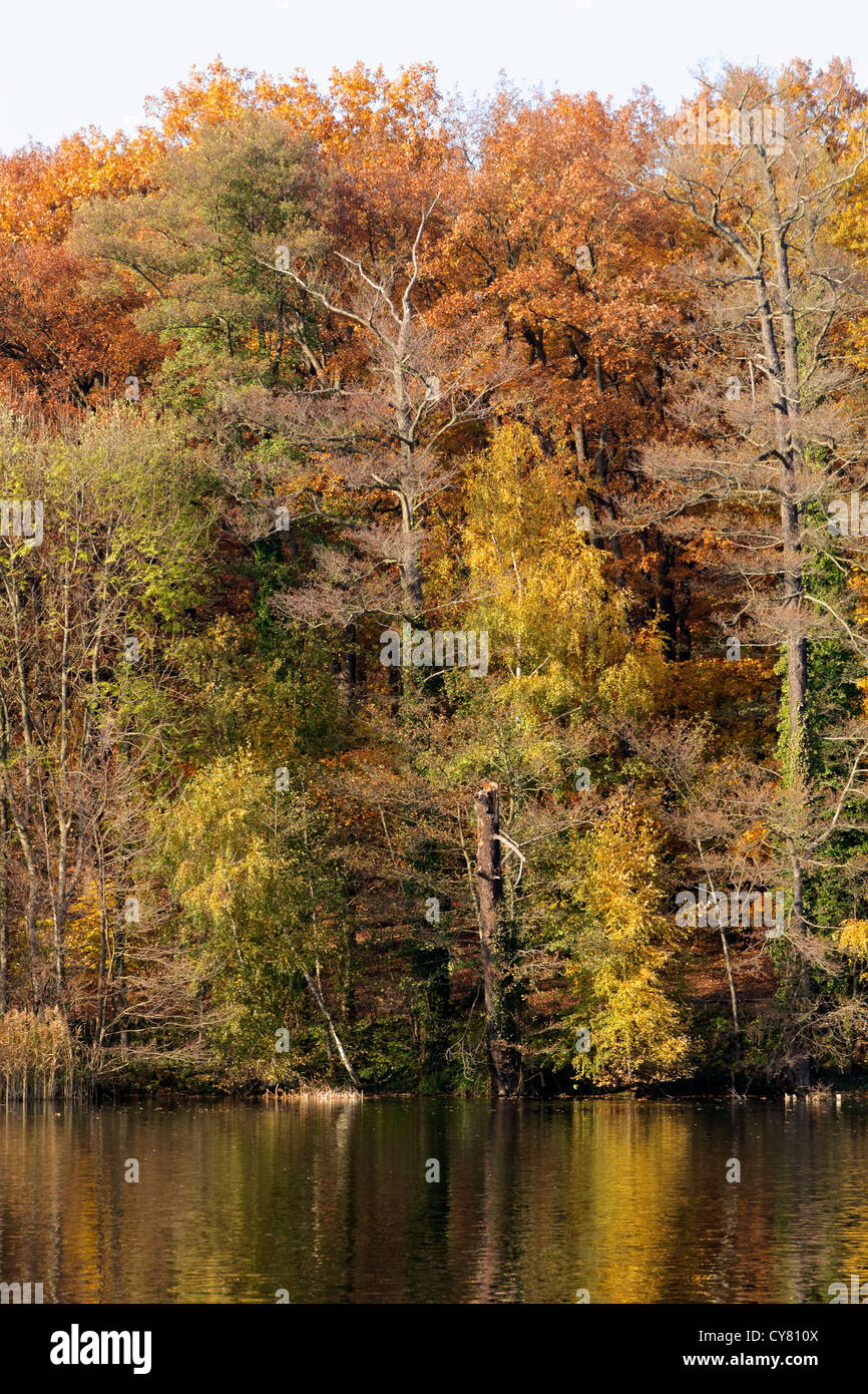 Fall color on lakeshore hi-res stock photography and images - Alamy