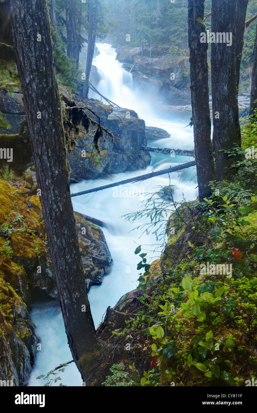 The Ohanapecosh River falls over Silver Falls, Mount Rainier National ...