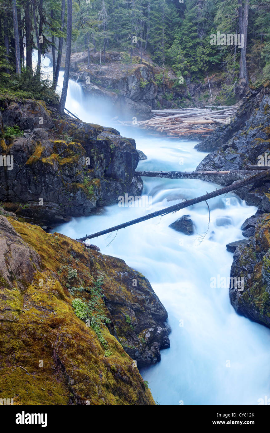Silver river state park hi-res stock photography and images - Alamy