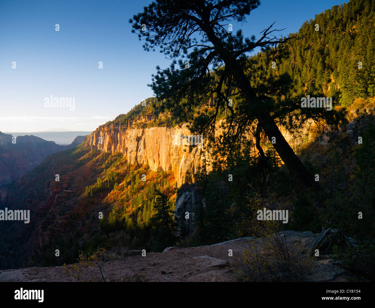 North Rim Trail in Grand Canyon National Park Stock Photo - Alamy