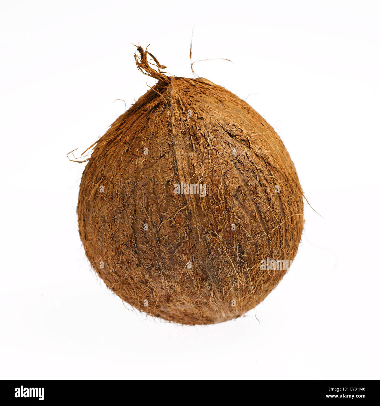 Whole coconut hi-res stock photography and images - Alamy