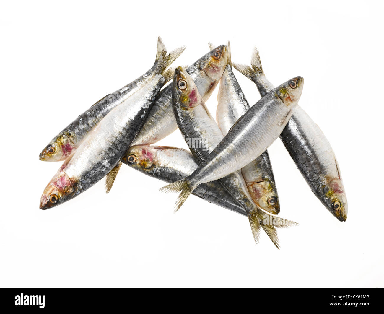 Pile of sardines Cut Out Stock Images & Pictures - Alamy