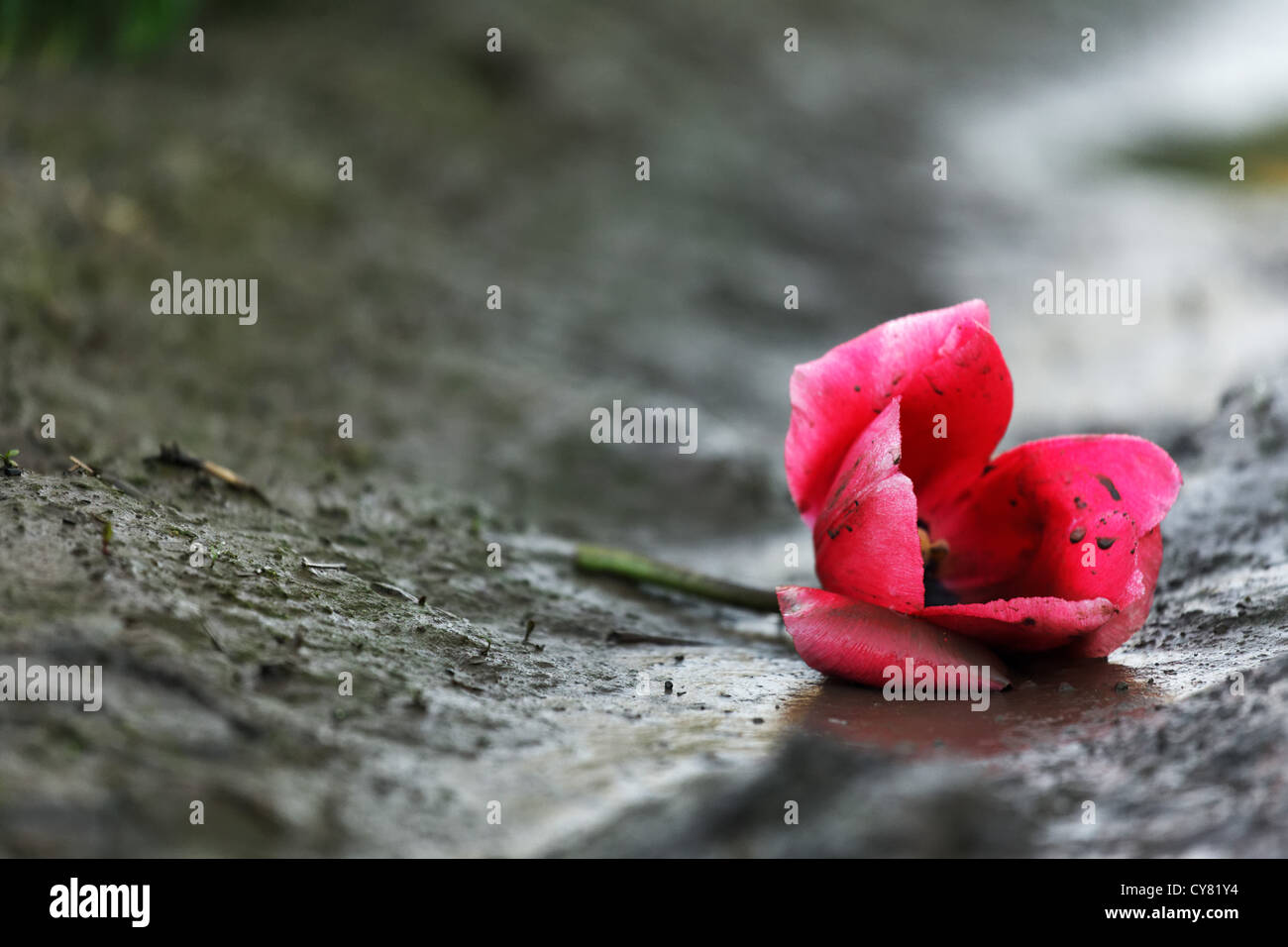 Thrown soil cut out hi-res stock photography and images - Alamy