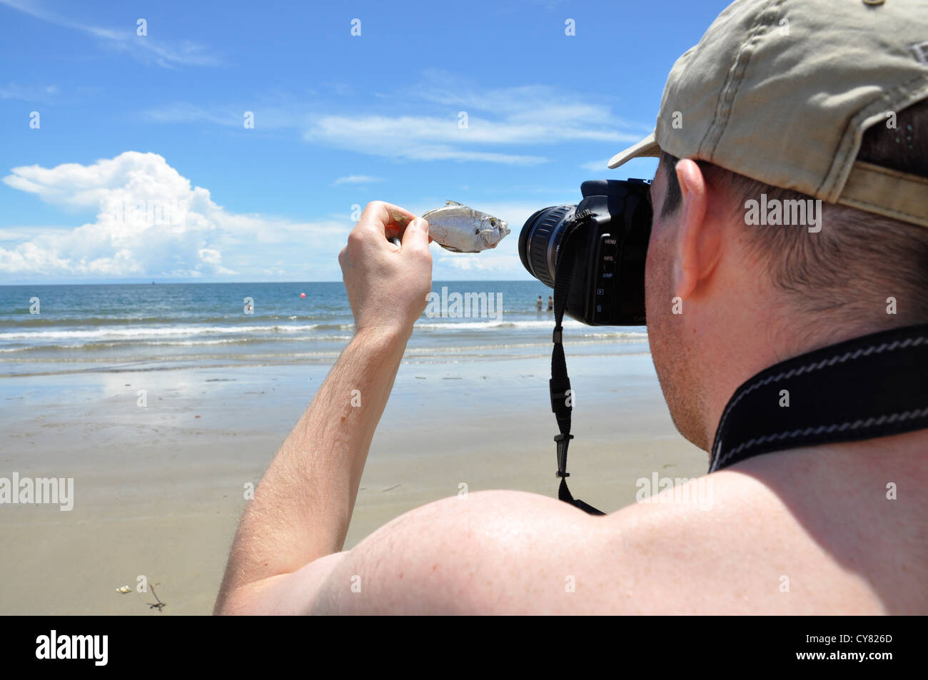 Dead Fish On Beach Stock Photos & Dead Fish On Beach Stock Images - Alamy