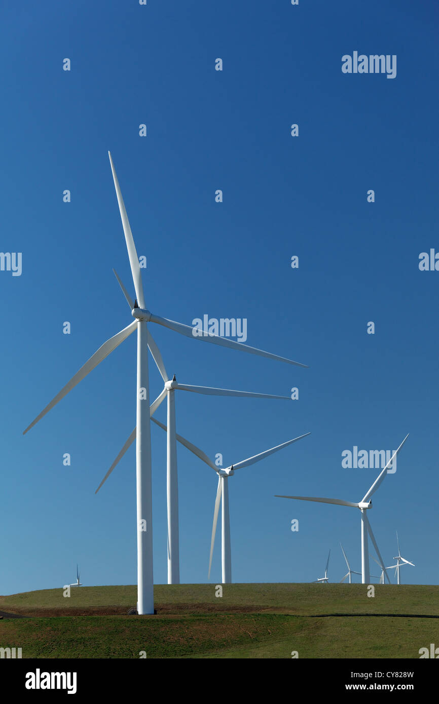 Washington state usa climate change hi-res stock photography and images ...