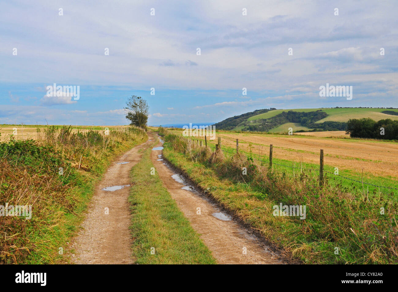Storrington sussex hi-res stock photography and images - Alamy