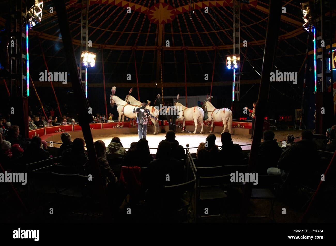 Circus horse performance hi-res stock photography and images - Alamy