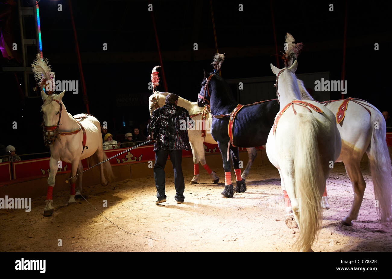 Circus horses hi-res stock photography and images - Alamy