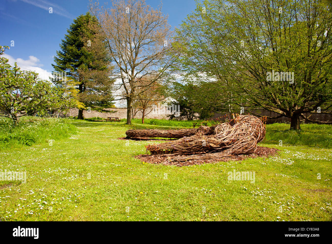 Willow dragon sculpture in the grounds of the Bishop's Palace of Wells ...