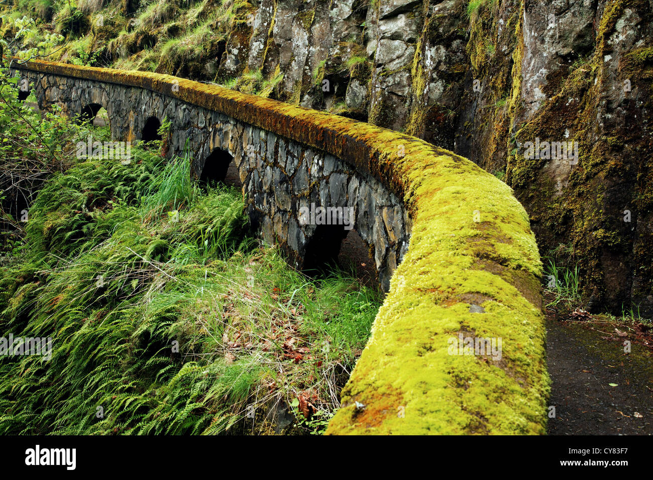 Arched stone wall covered in moss along Shepperd's Dell Trail, Columbia ...