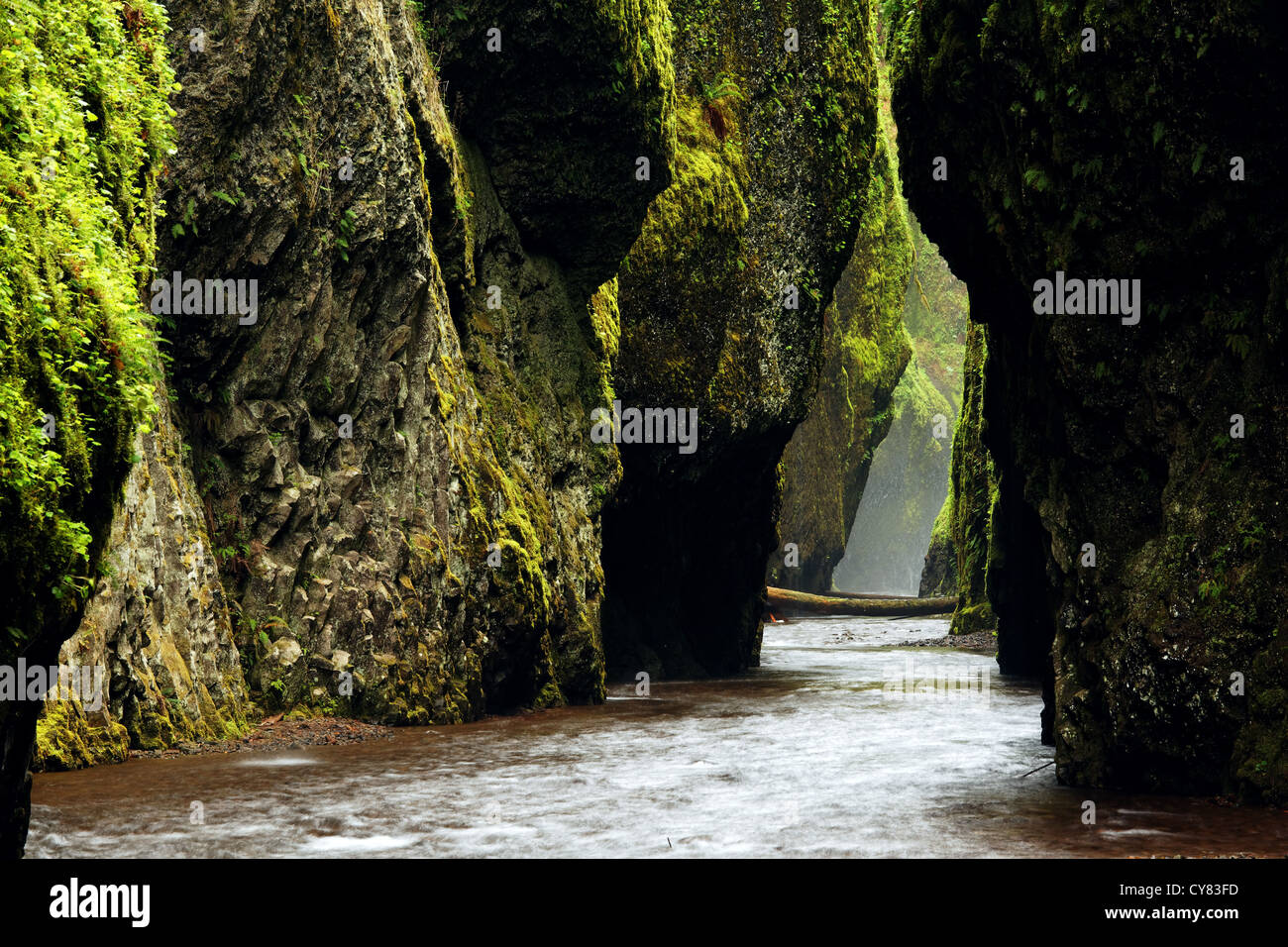 Oneonta Creek flowing through Oneonta Gorge, Columbia River Gorge ...