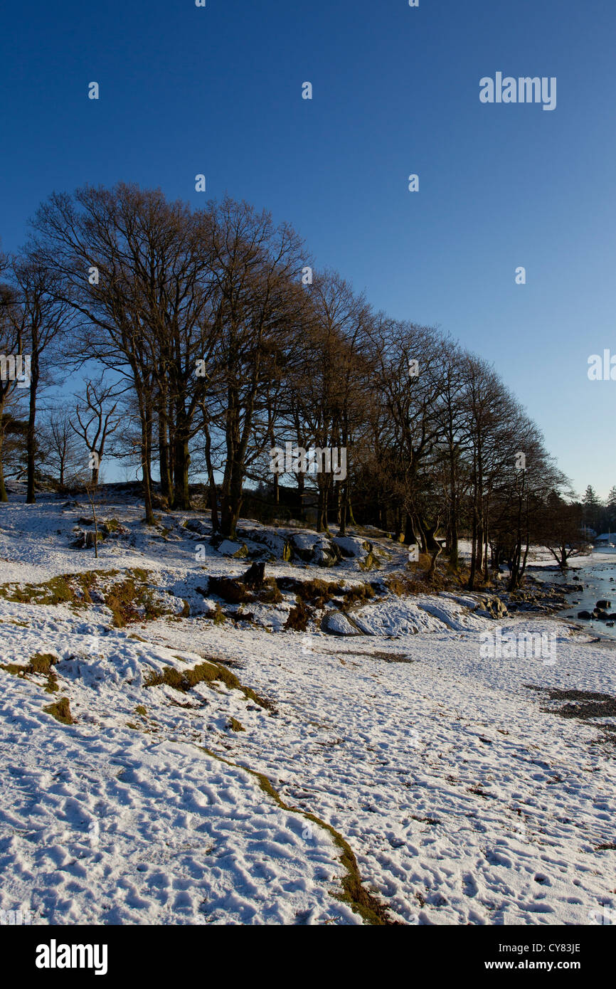 Lake Windermere in the cold winter with snow -Cockshot Point near ...