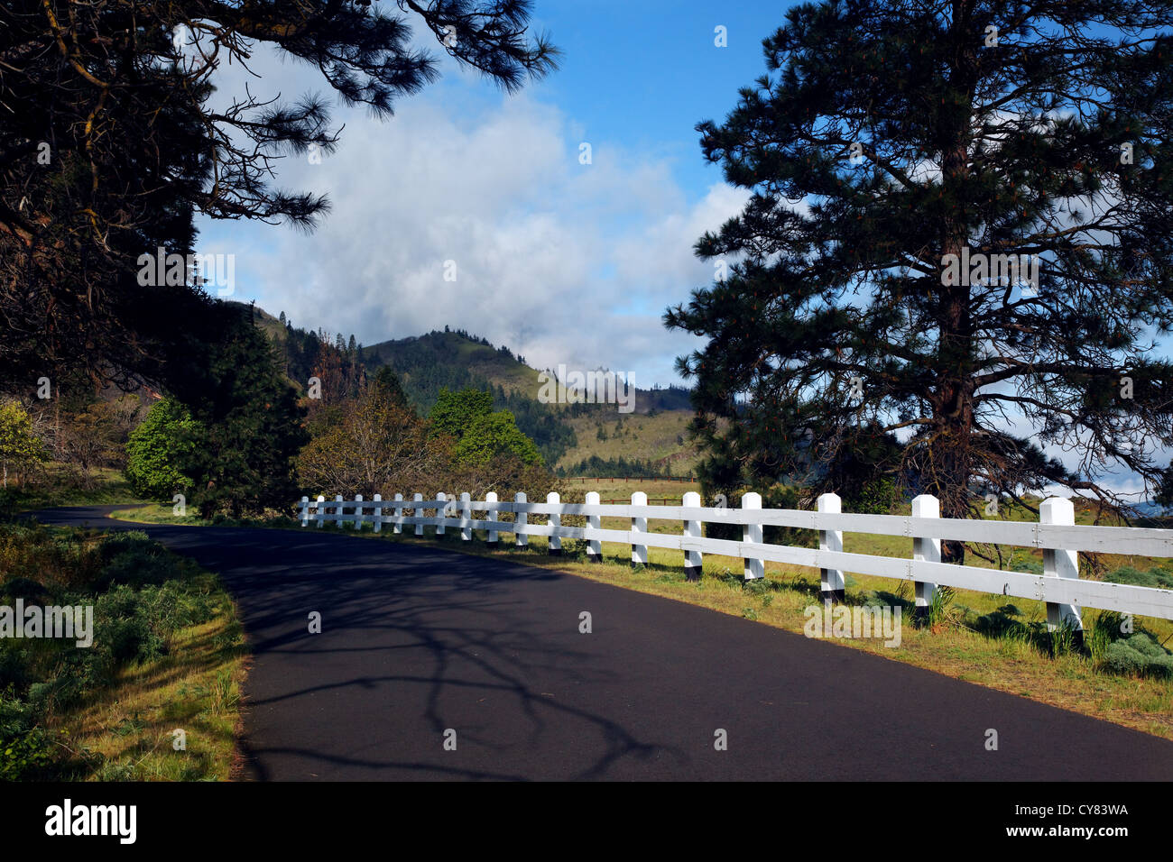 White wooden guard rail overlooking Columbia River along edge of Mosier ...