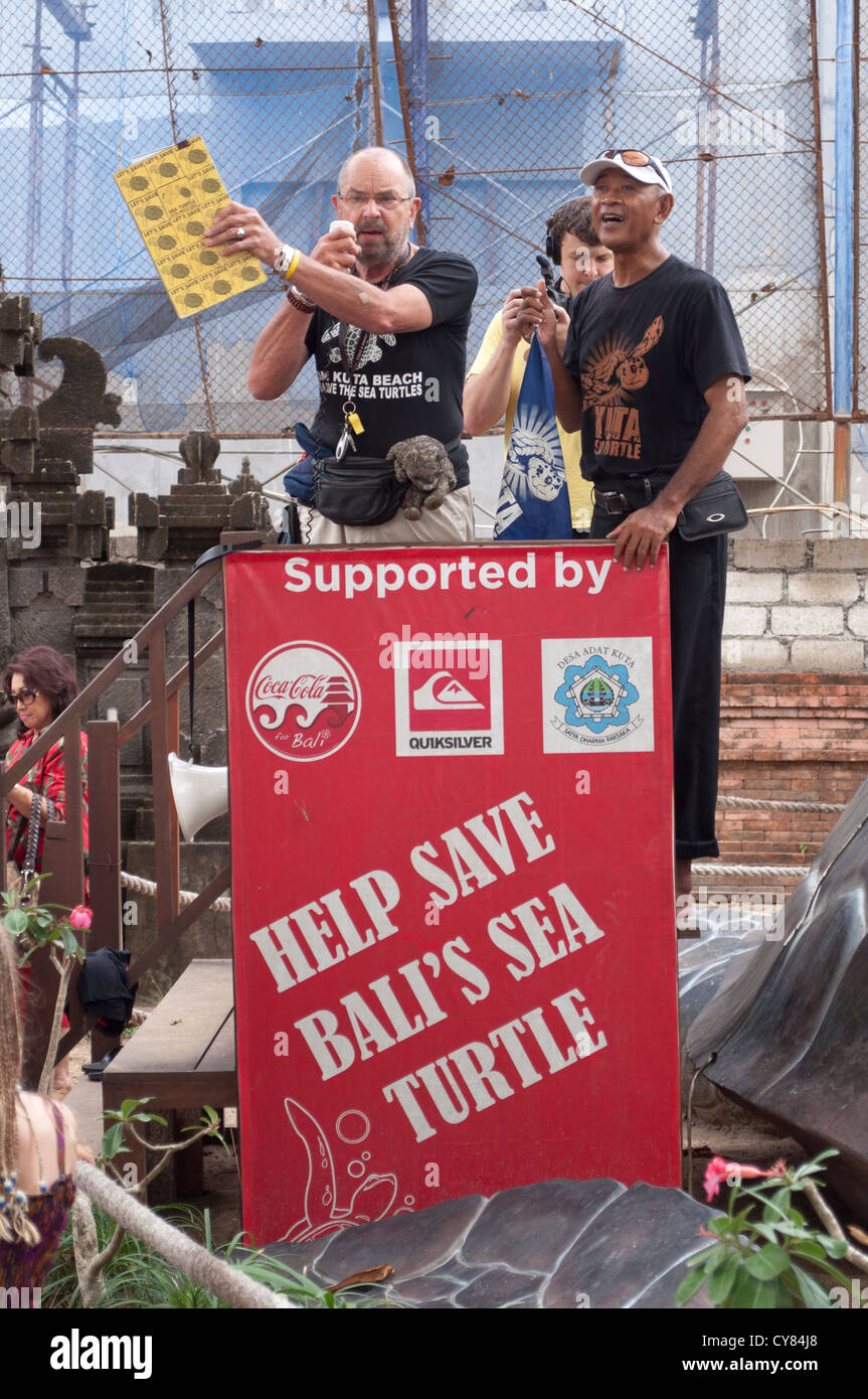 The Bali Sea Turtle Society (BSTS) releases Olive ridley hatchlings on ...