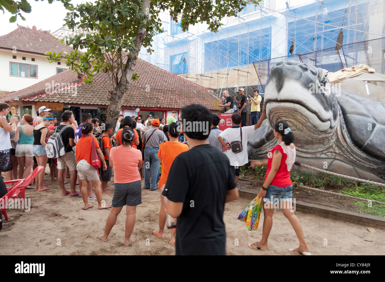 The Bali Sea Turtle Society (BSTS) releases Olive ridley hatchlings on ...
