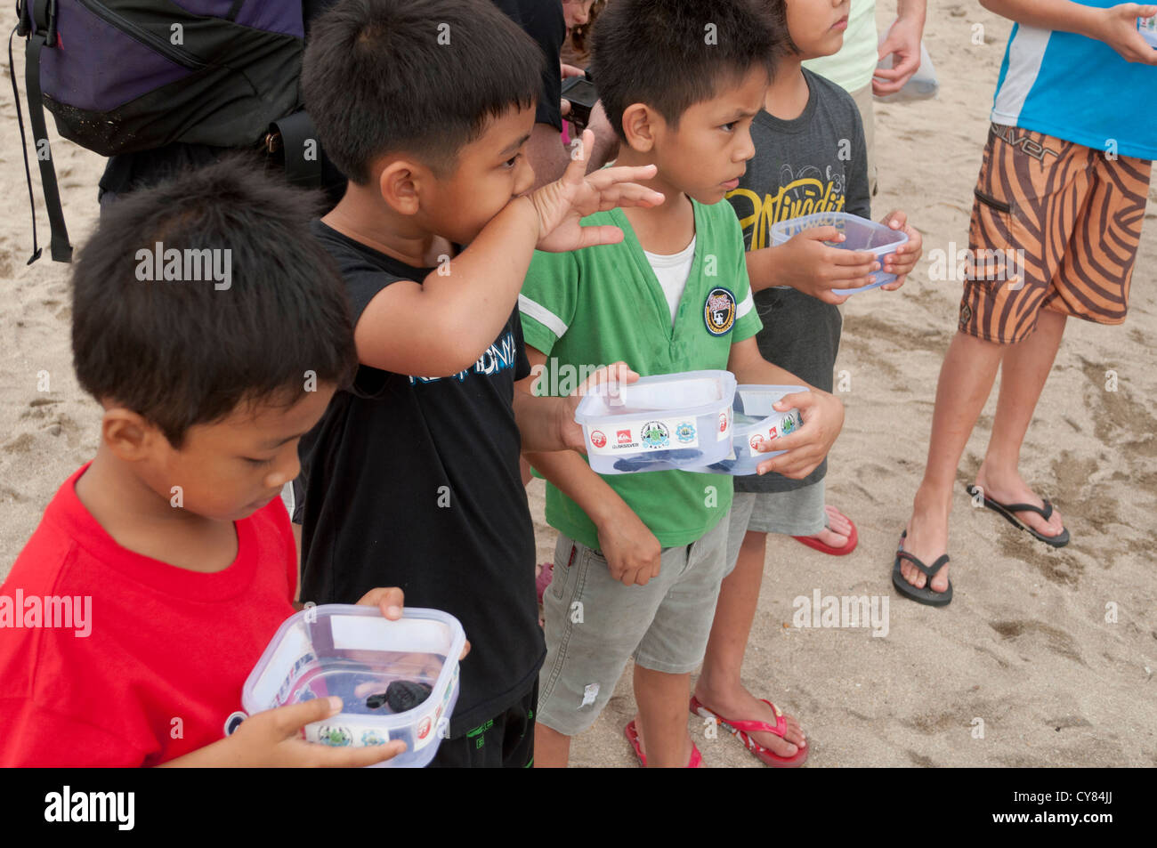 The Bali Sea Turtle Society (BSTS) releases Olive ridley hatchlings on ...