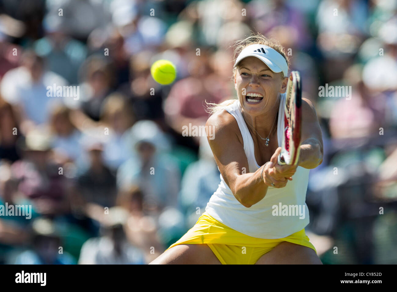 Caroline Wozniacki in action playing double handed back hand shot Stock ...