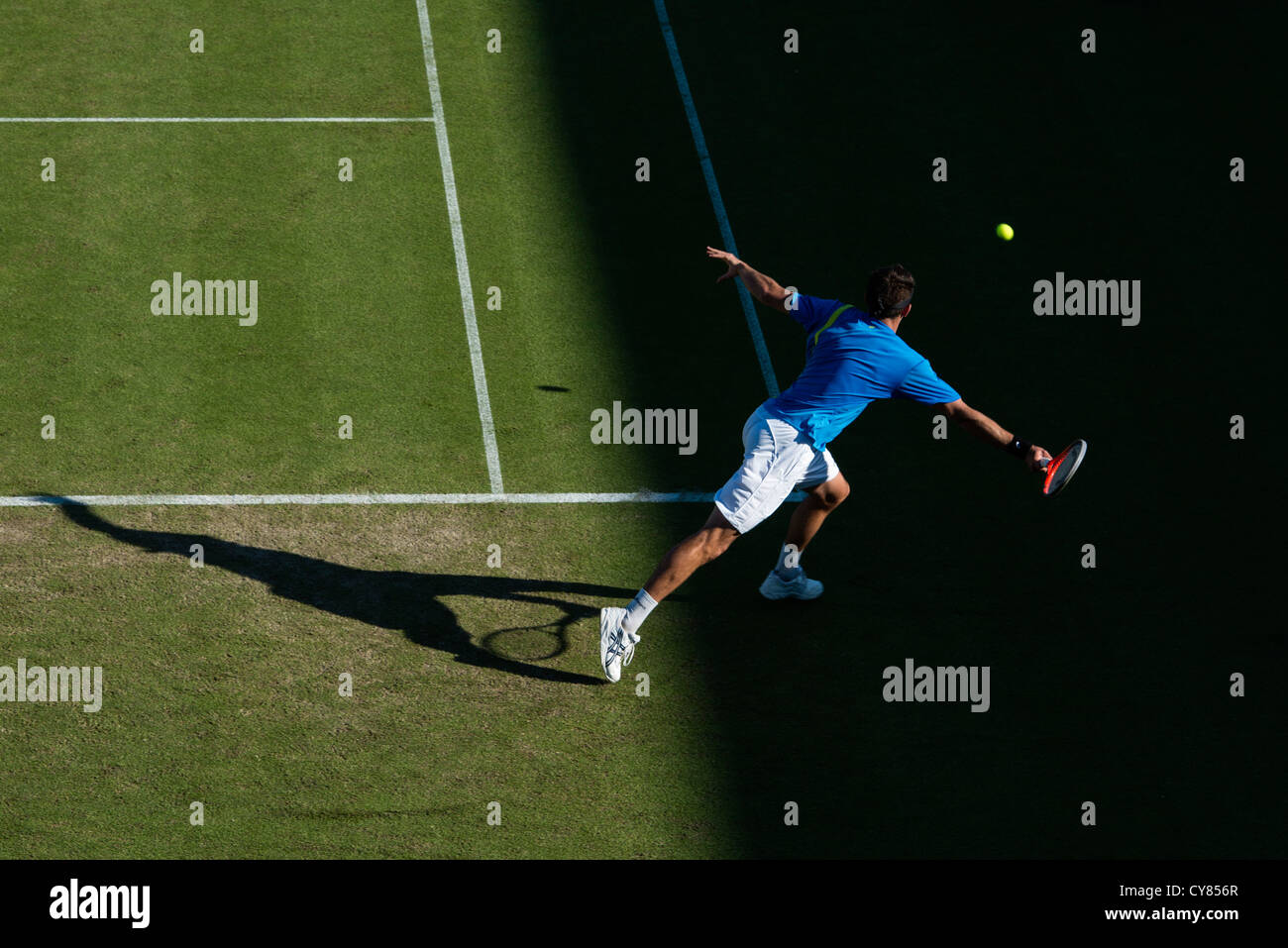 Marinko Matosevic in action playing single handed fore hand shot Stock ...