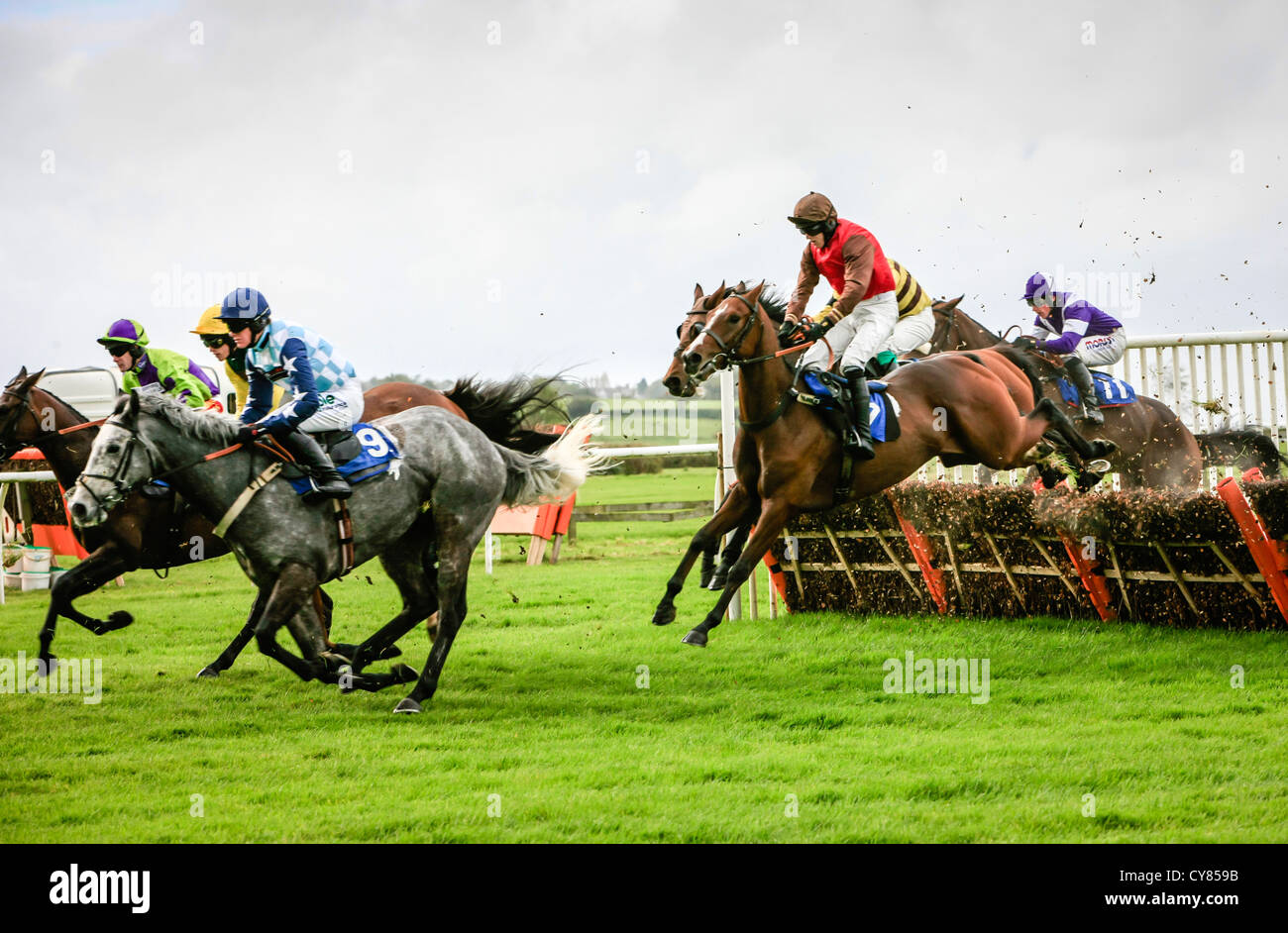 Steeplechase racecourse hi-res stock photography and images - Alamy