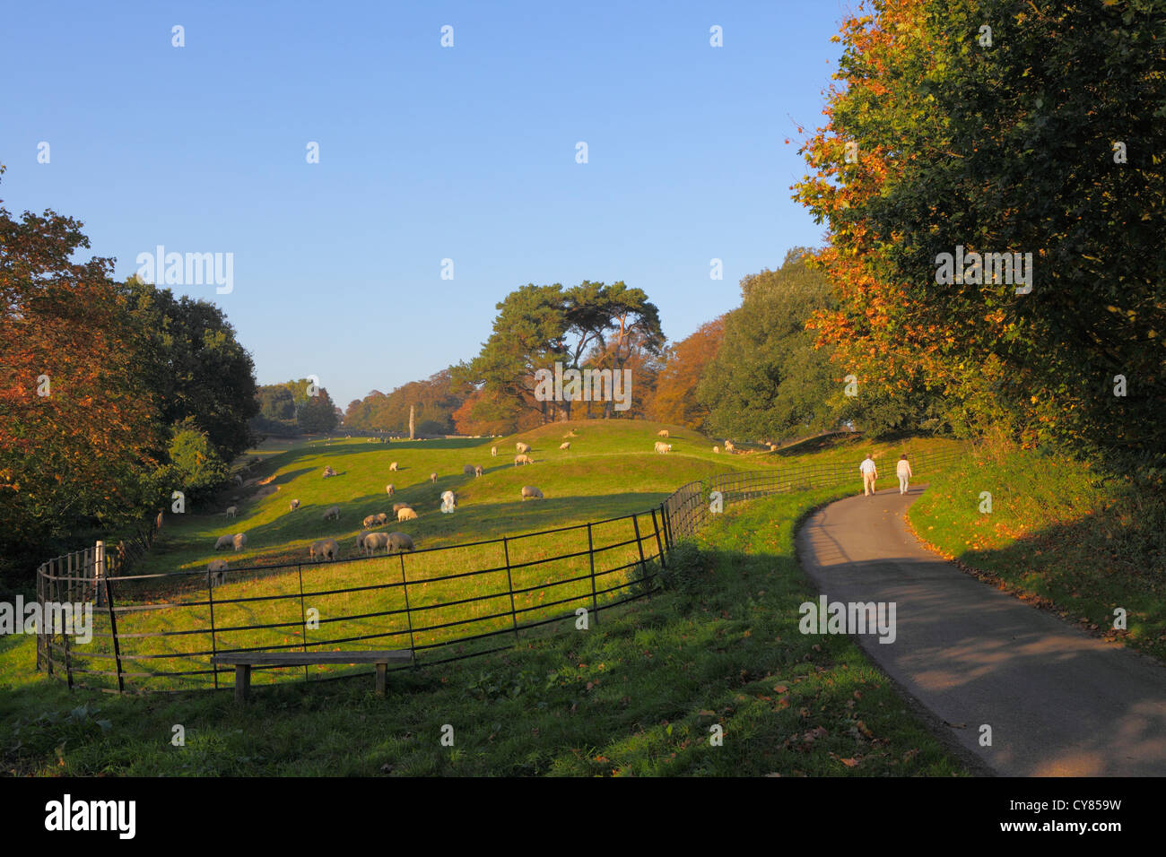 Country lane autumn uk hi-res stock photography and images - Alamy