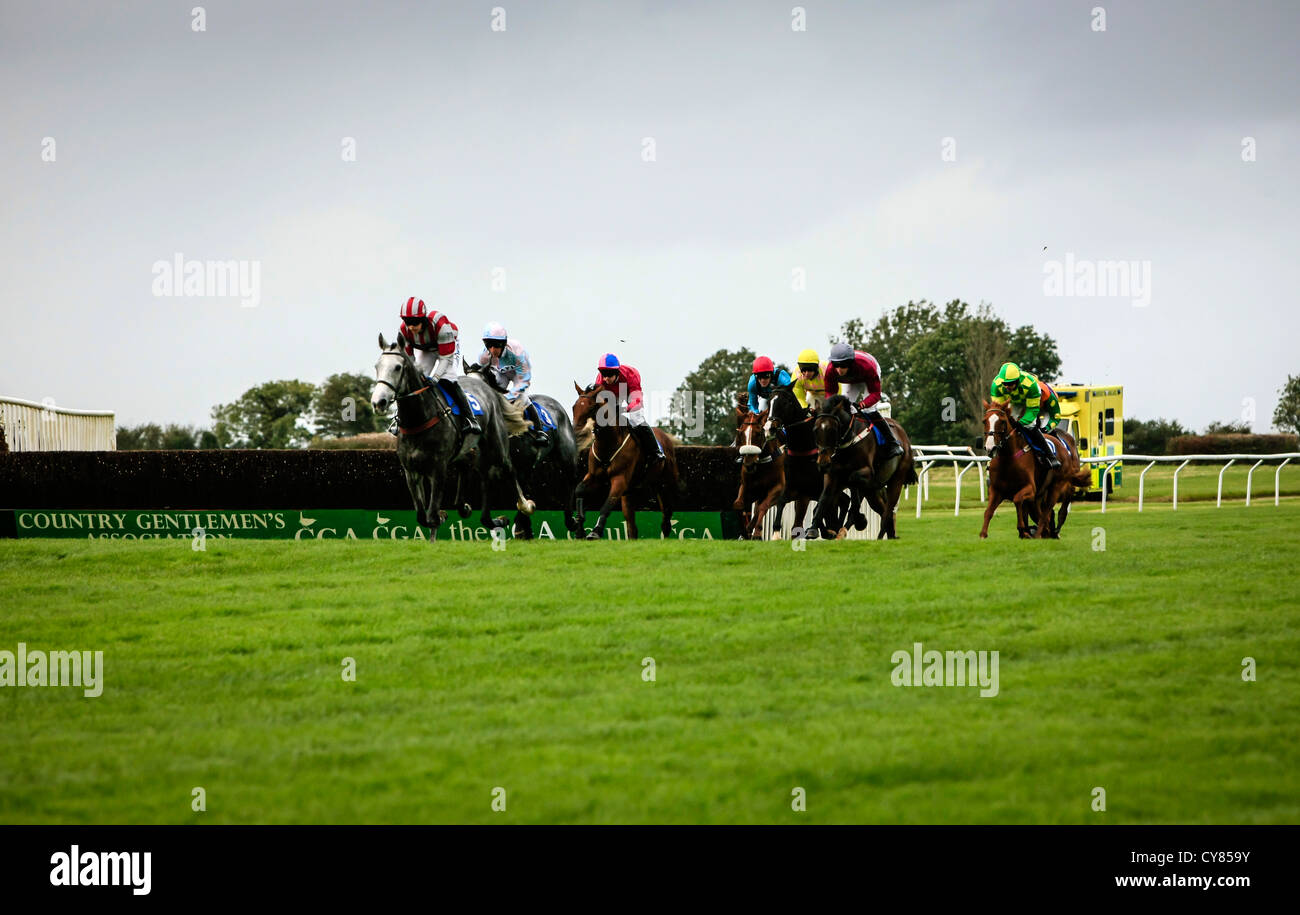 Wincanton racing hi-res stock photography and images - Alamy