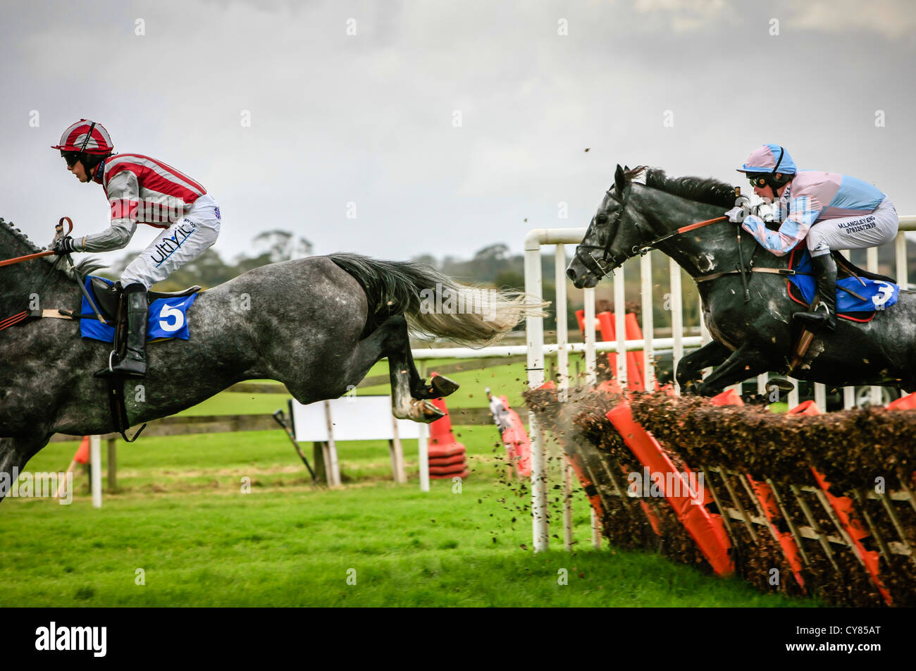 Steeplechase racecourse hi-res stock photography and images - Alamy
