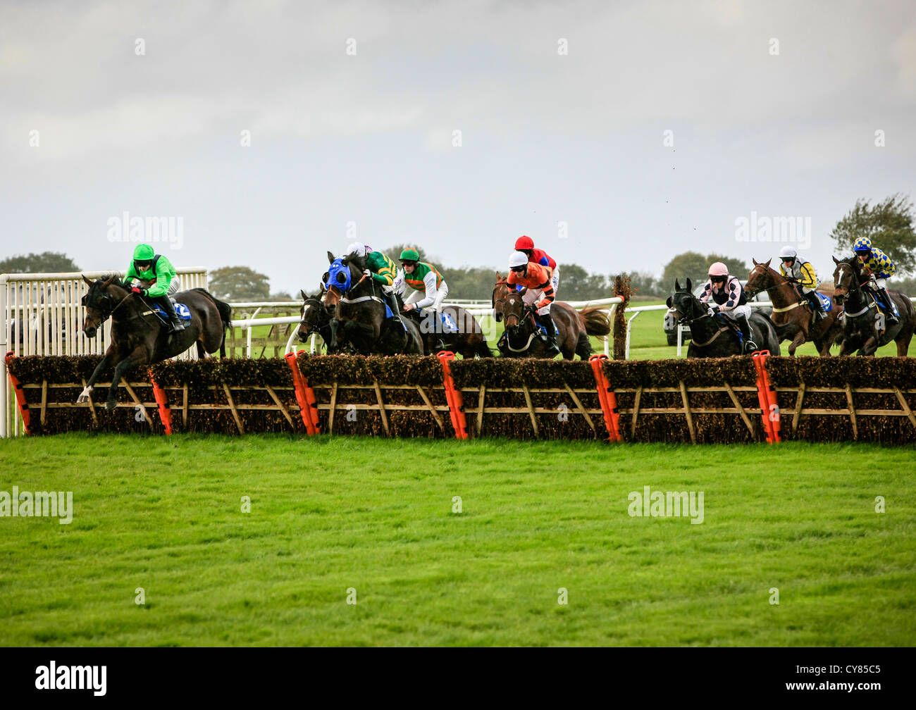 Wincanton racecourse hi-res stock photography and images - Alamy