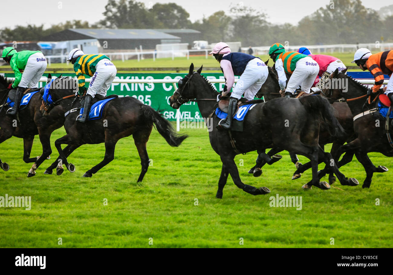 Steeplechase racecourse hi-res stock photography and images - Alamy