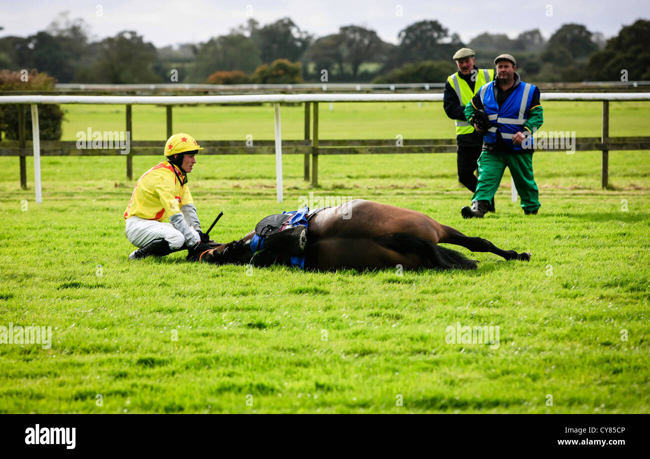 Fallen Horse Rider High Resolution Stock Photography and Images - Alamy