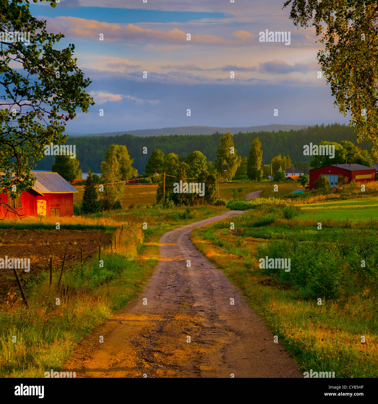 Evening sun on country lane hi-res stock photography and images - Alamy