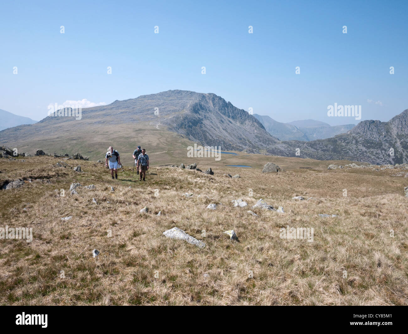 Hill walkers on Y Foel Goch in Y Glyderau mountains, Snowdonia. Bristly ...