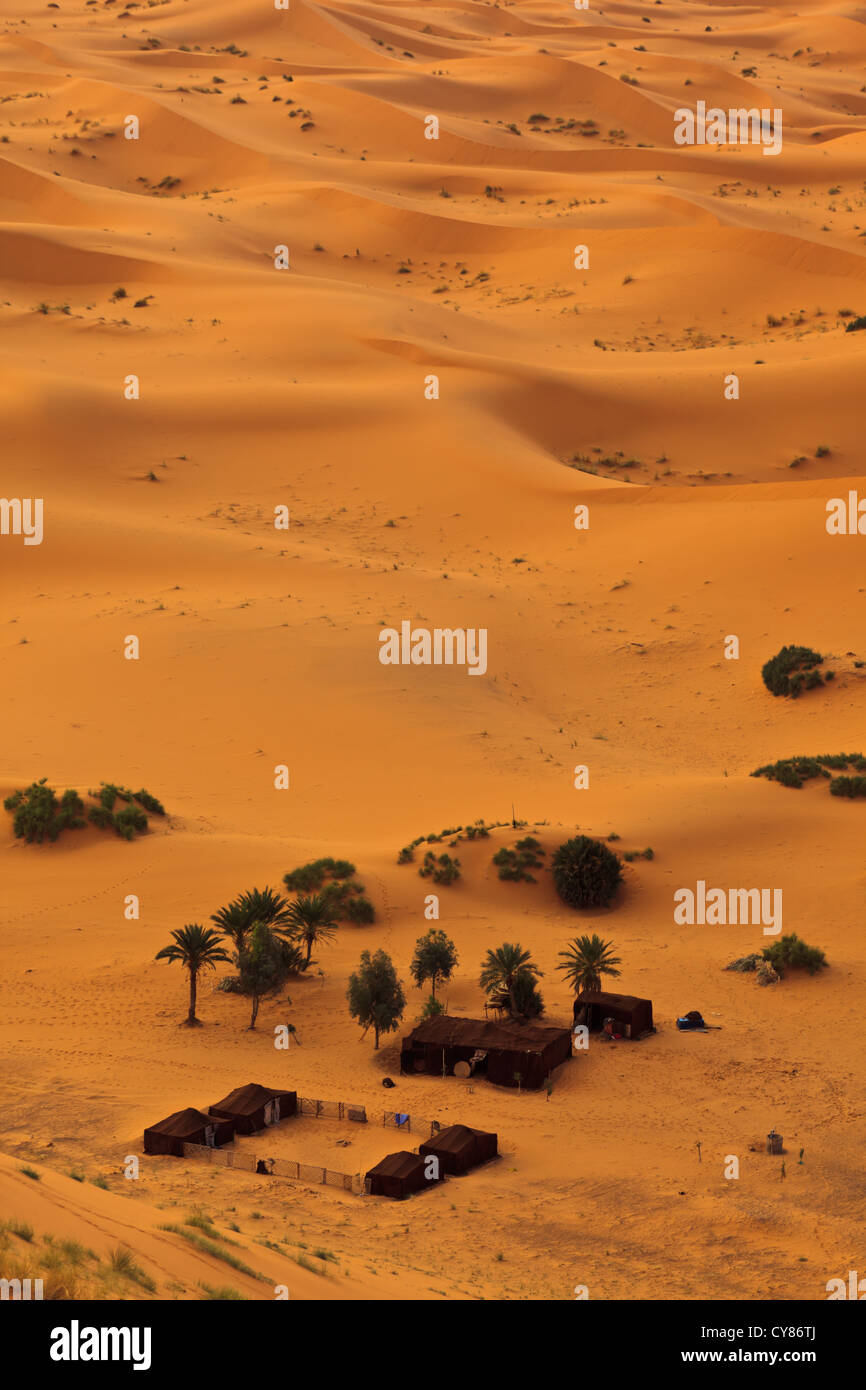 Aerial view of Sahara desert sand dunes and Bedouin camp, in an oasis ...