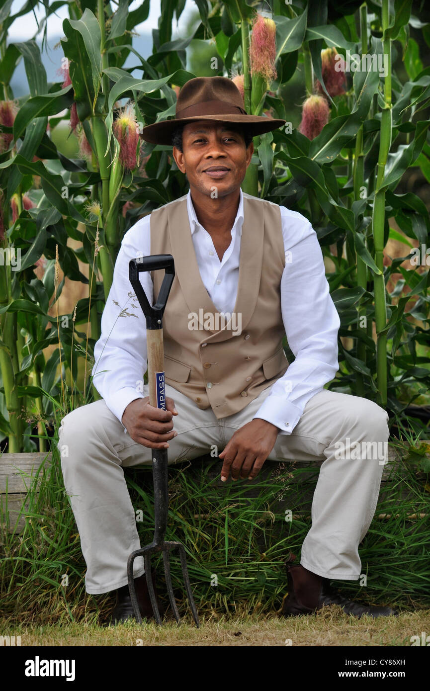 Farmer businessman in corn field hi-res stock photography and images ...