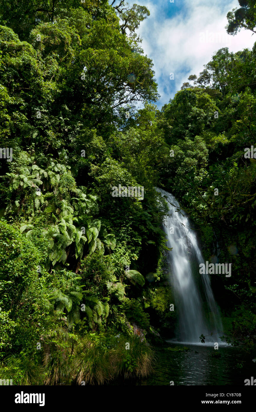 The Sacred Waterfall, National Park Of Montagne D'Ambre, Madagascar ...