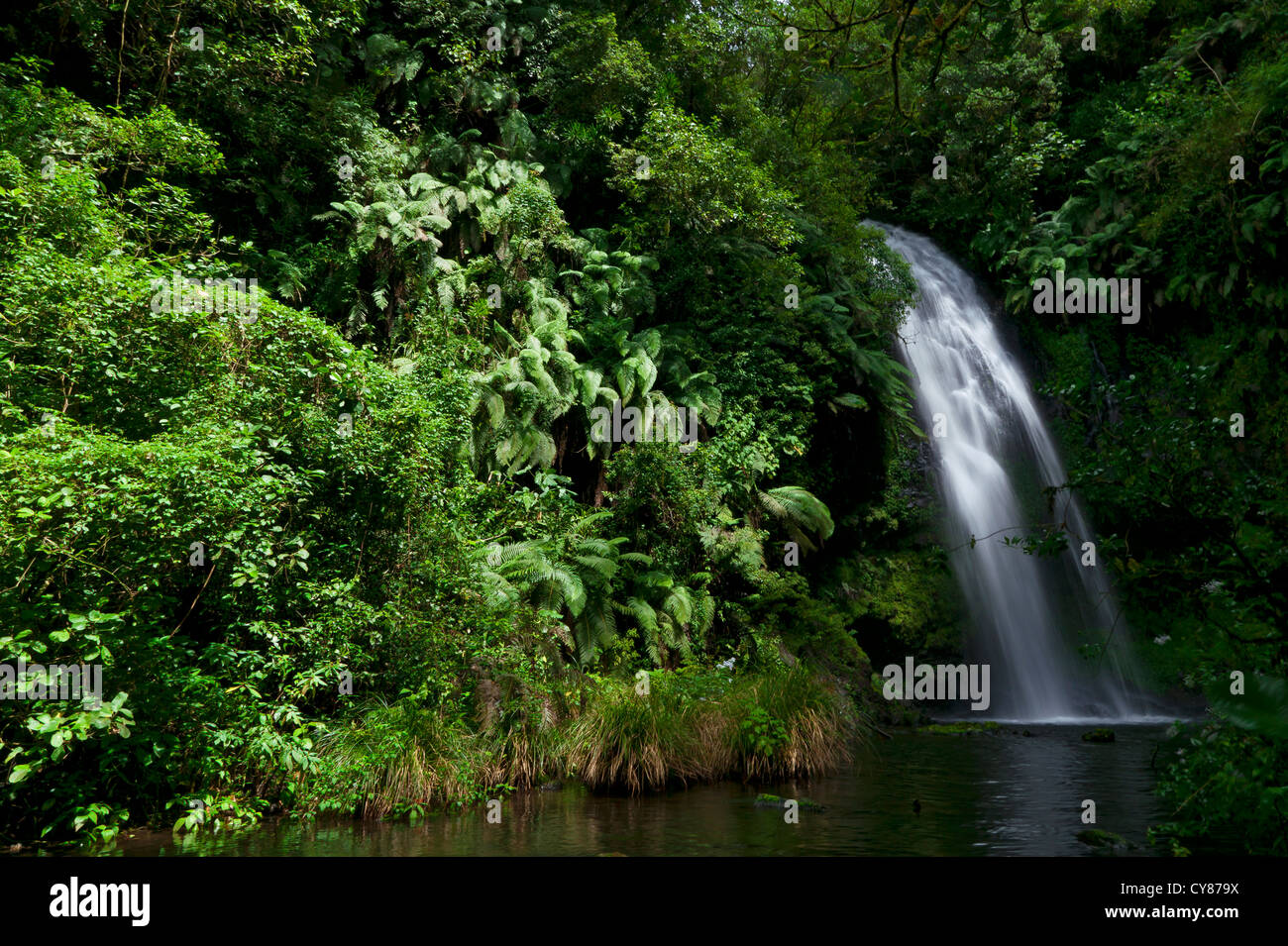 The Sacred Waterfall, National Park Of Montagne D'Ambre, Madagascar ...