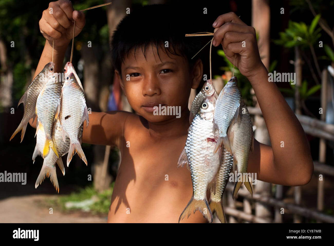 Laos Fish Catch Fishing High Resolution Stock Photography and Images ...
