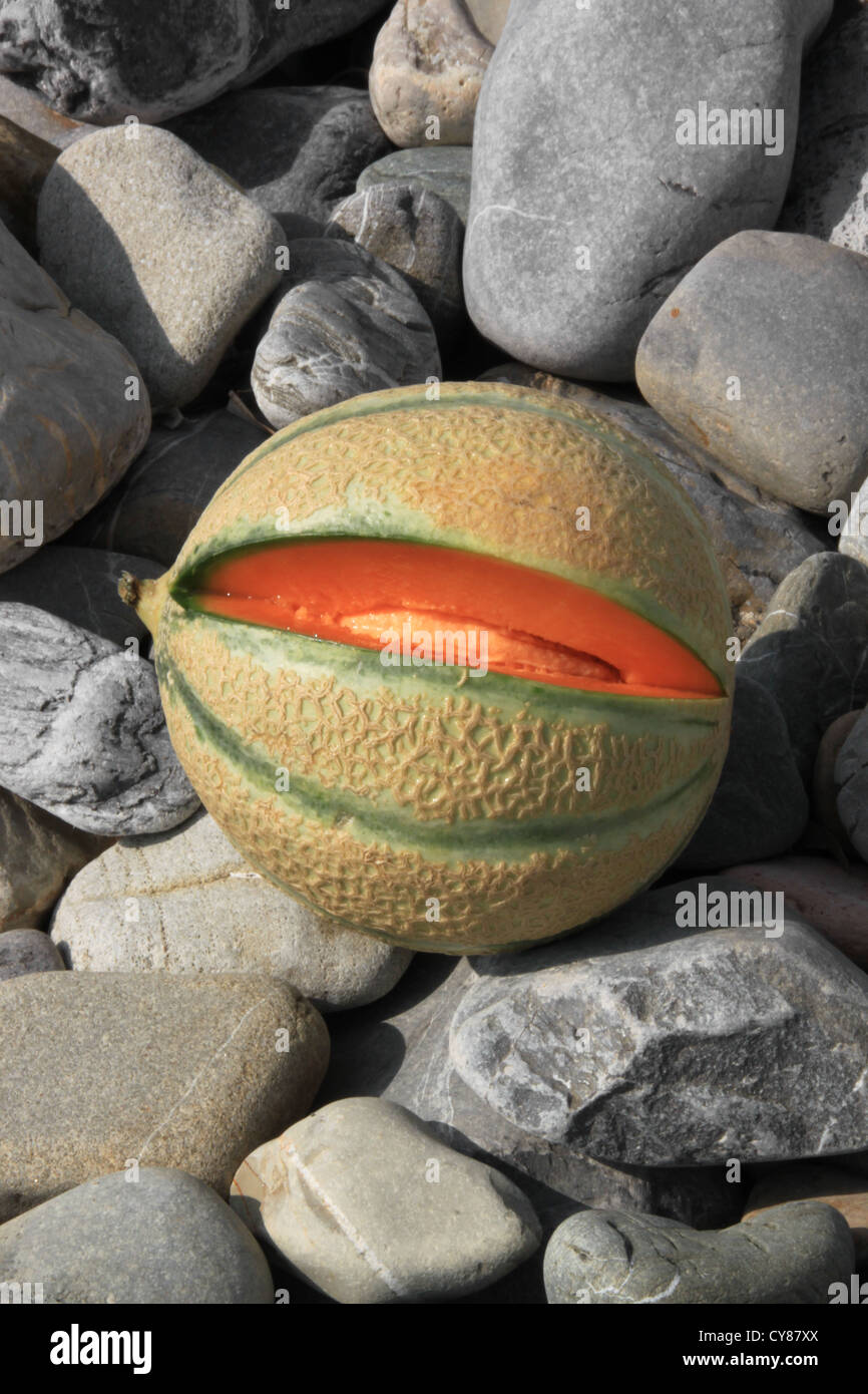 Pulp stone hi-res stock photography and images - Alamy