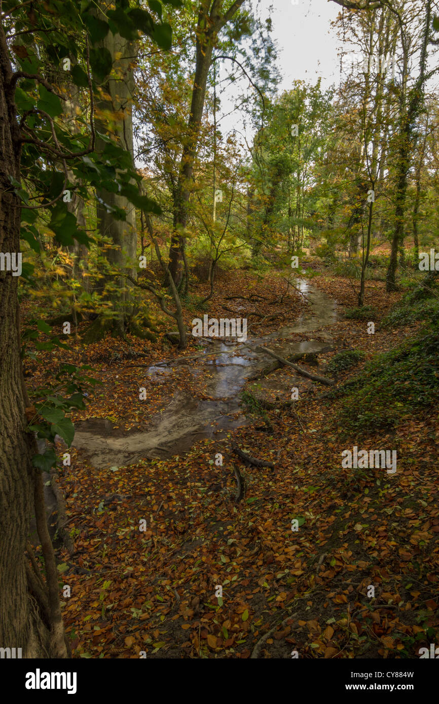 Barton Le Clay High Resolution Stock Photography and Images - Alamy