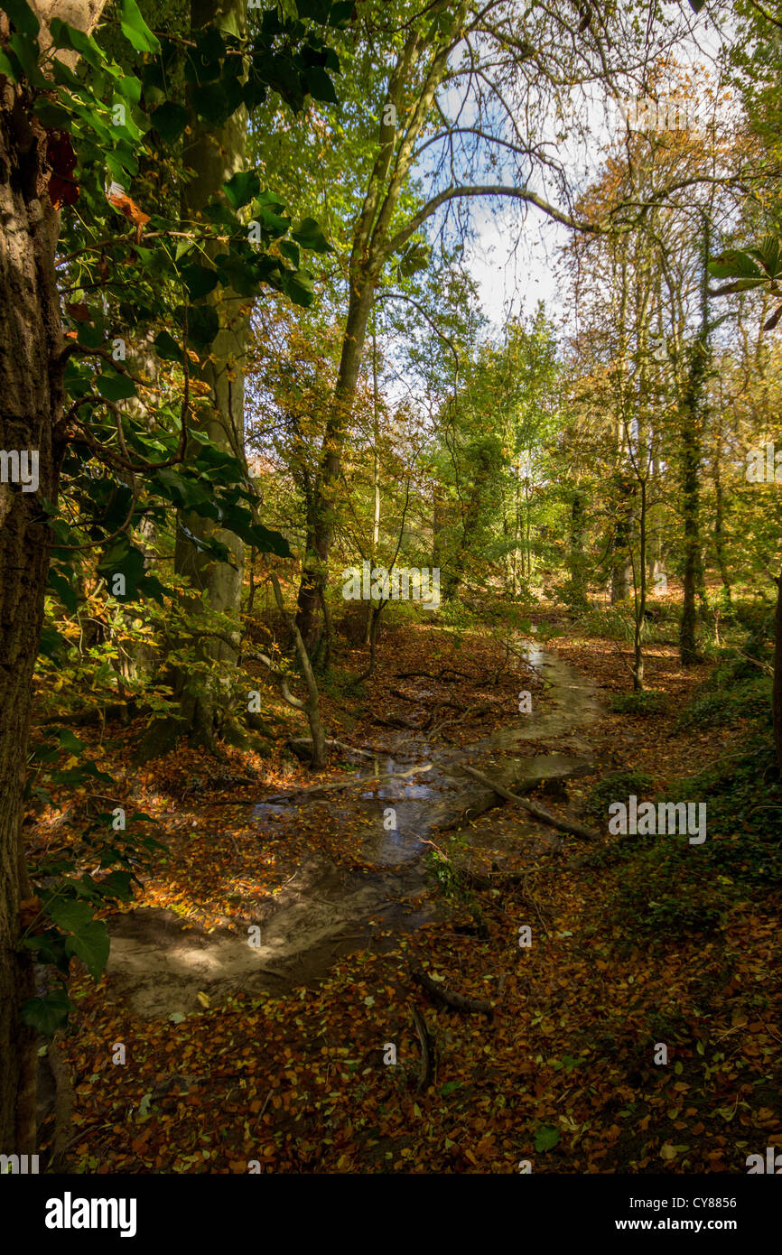 Barton le clay hi-res stock photography and images - Alamy