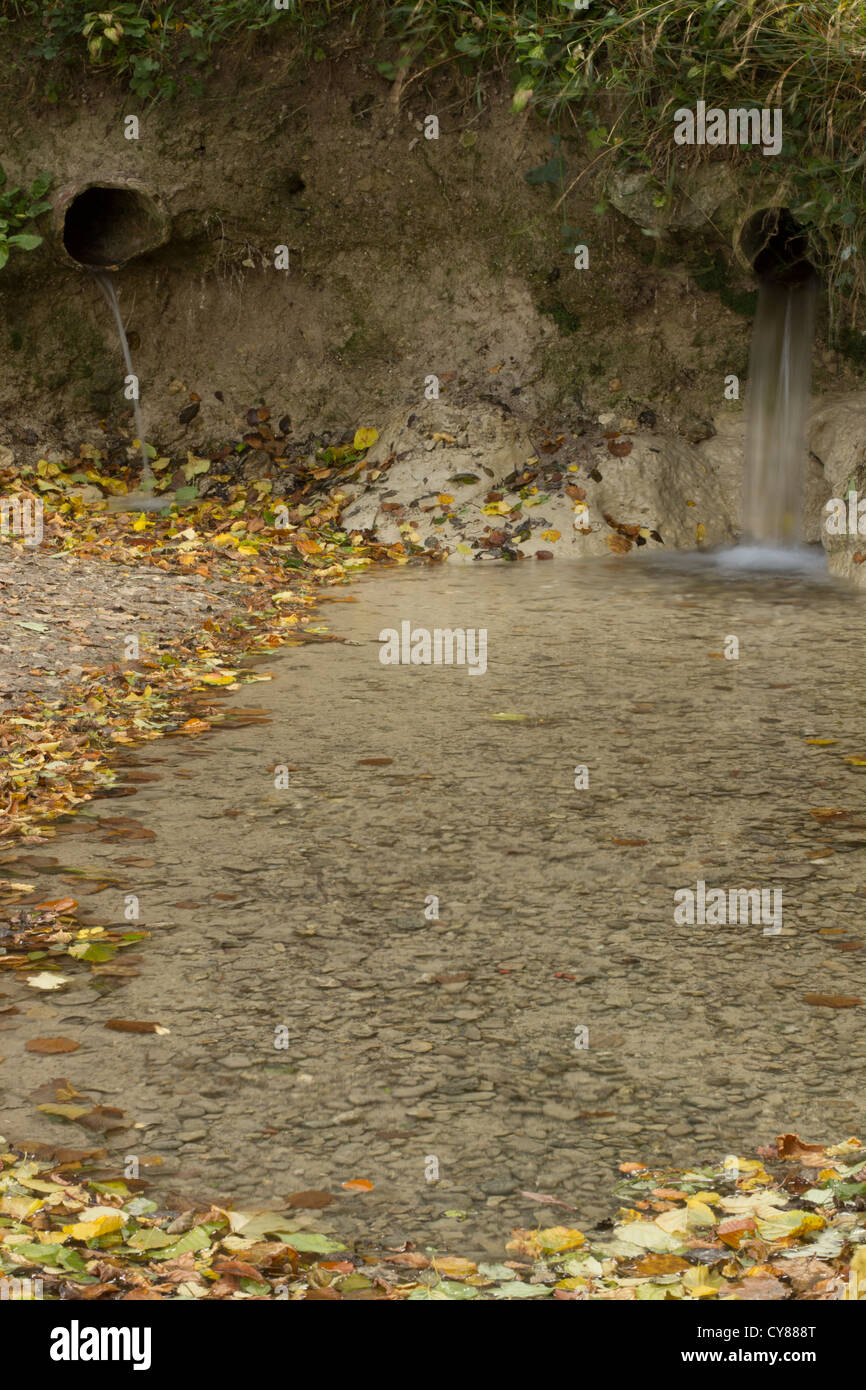 Barton springs hi-res stock photography and images - Alamy