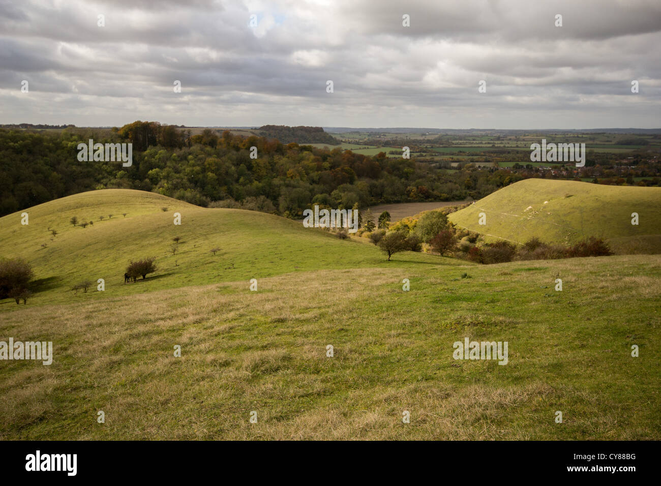 Barton hills hi-res stock photography and images - Alamy