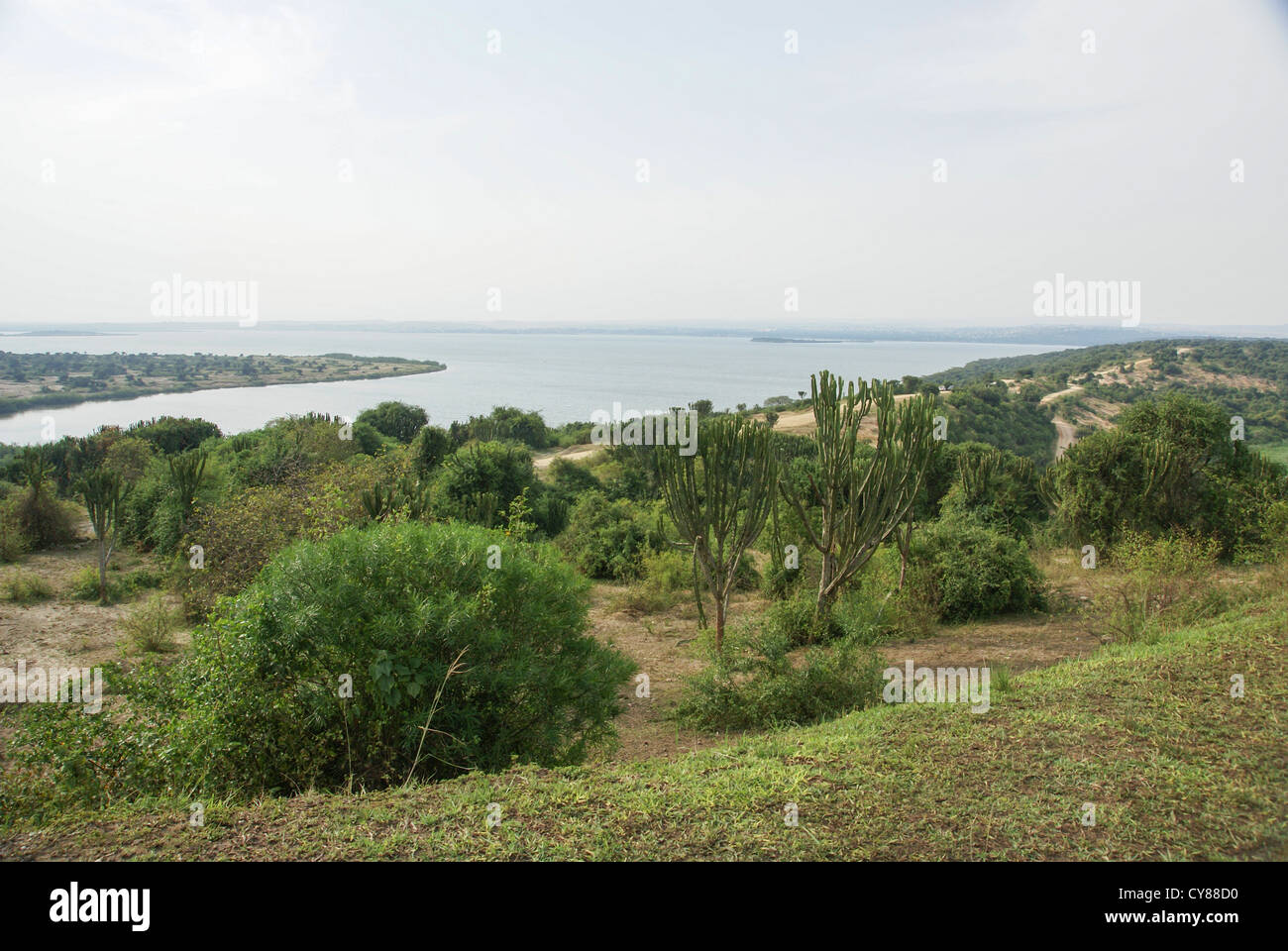 Uganda, Lake George Stock Photo - Alamy