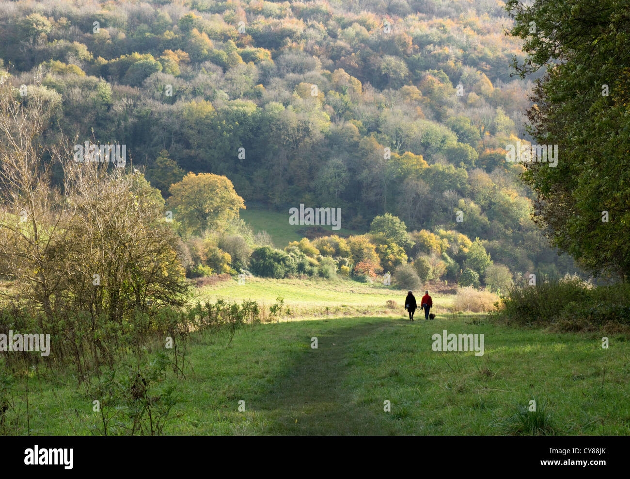 Brockweir Village High Resolution Stock Photography and Images - Alamy