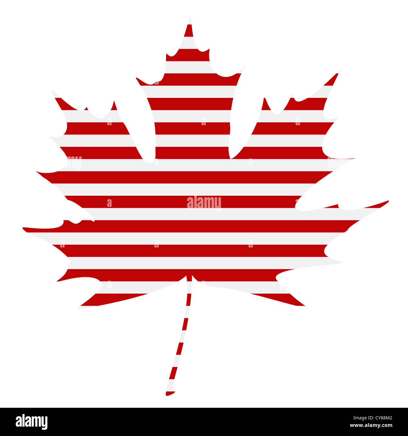 Striped maple leaf on a white background. EPS10 vector illustration ...