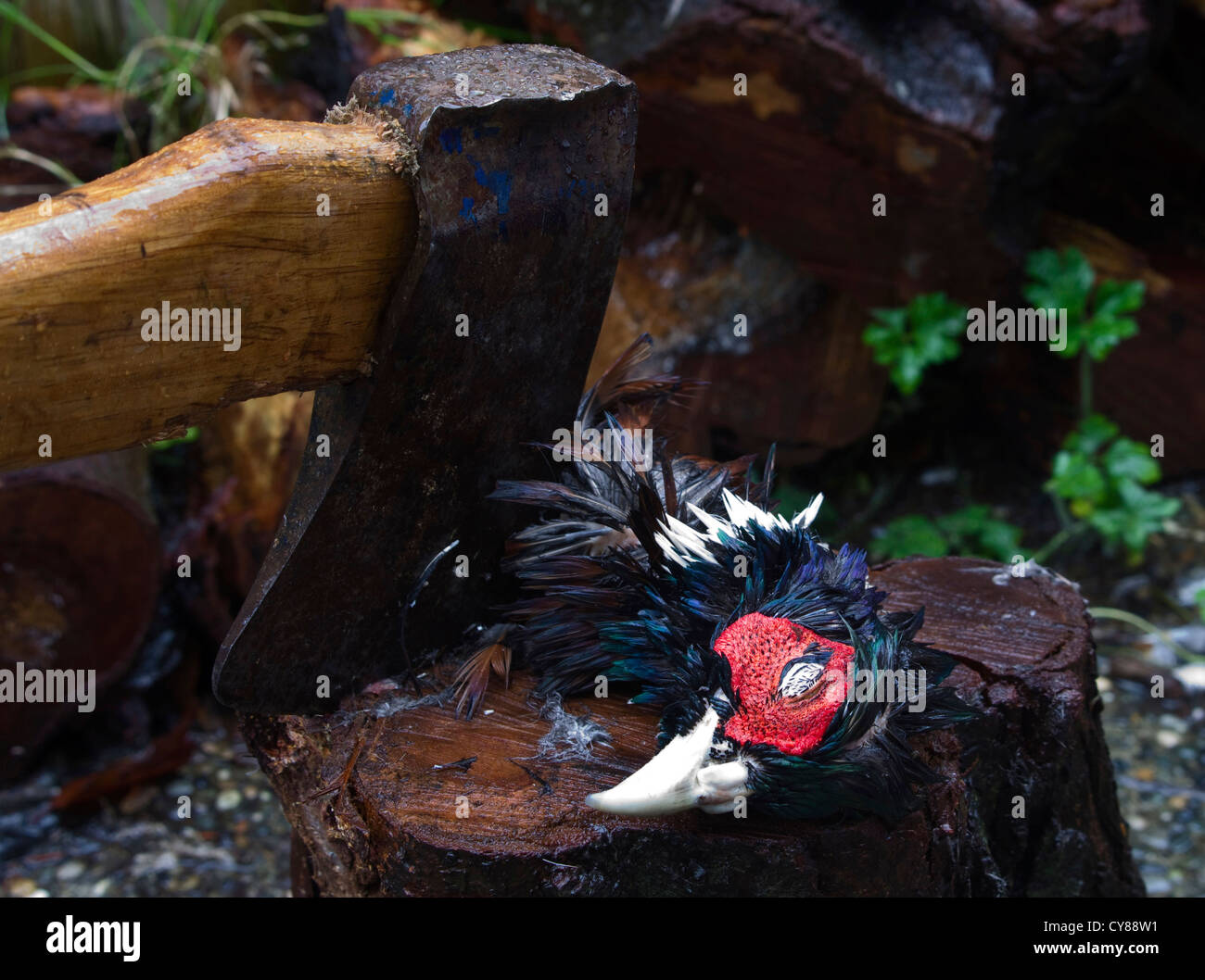 Head and chopping block hi-res stock photography and images - Alamy