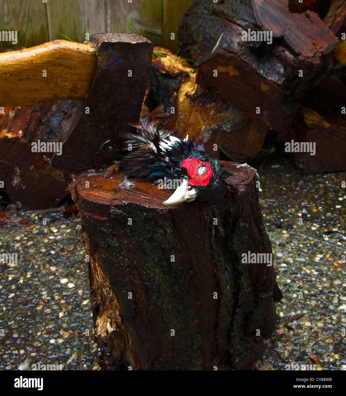 Head and the chopping block hi-res stock photography and images - Alamy